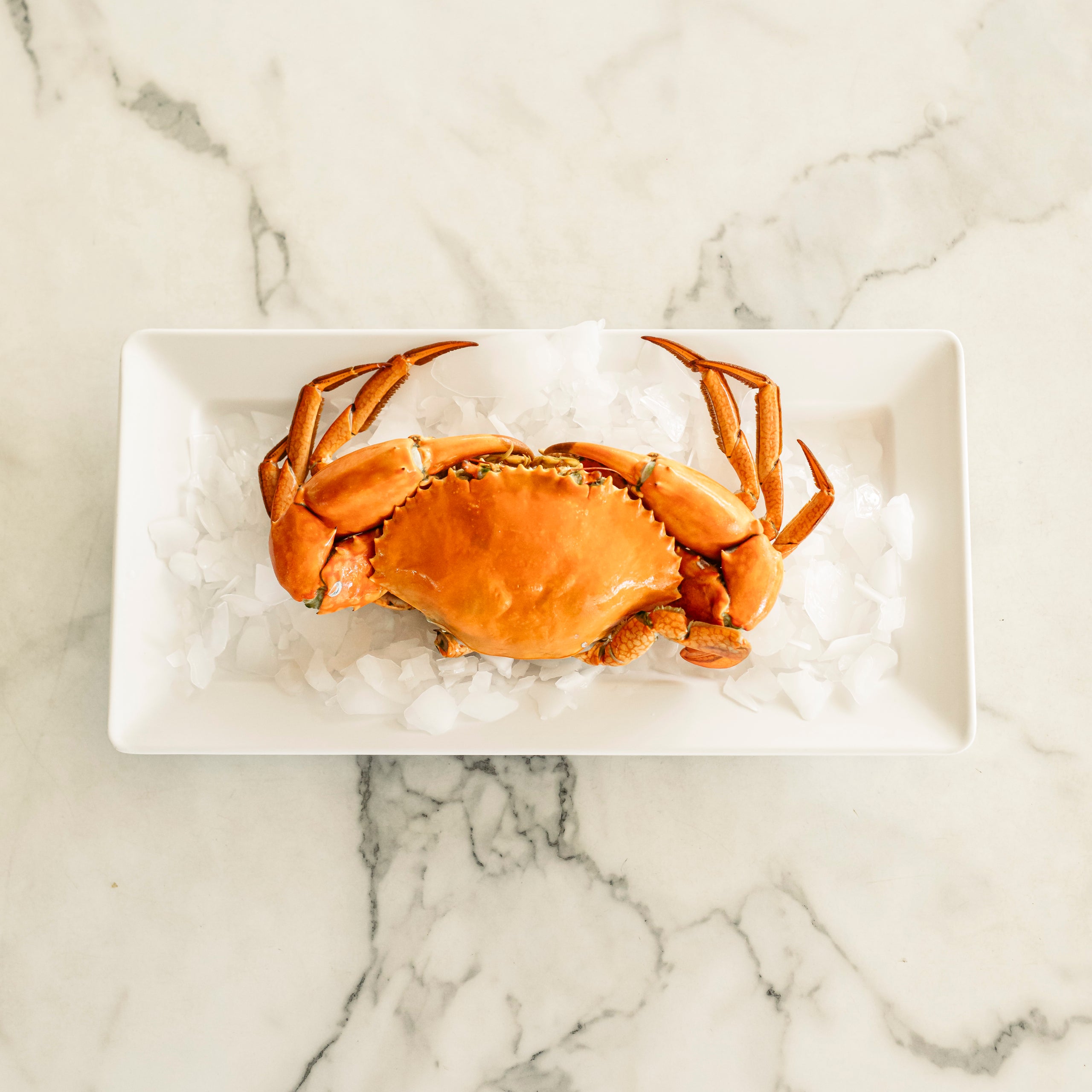 Cooked Mud Crabs | Reef Gasworks