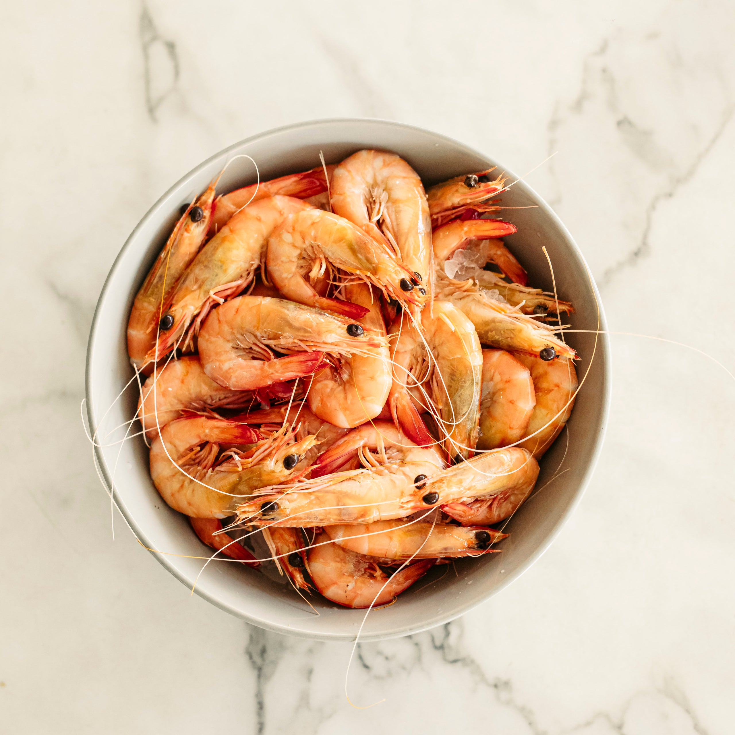 Medium King Prawns Cooked | Reef Gasworks